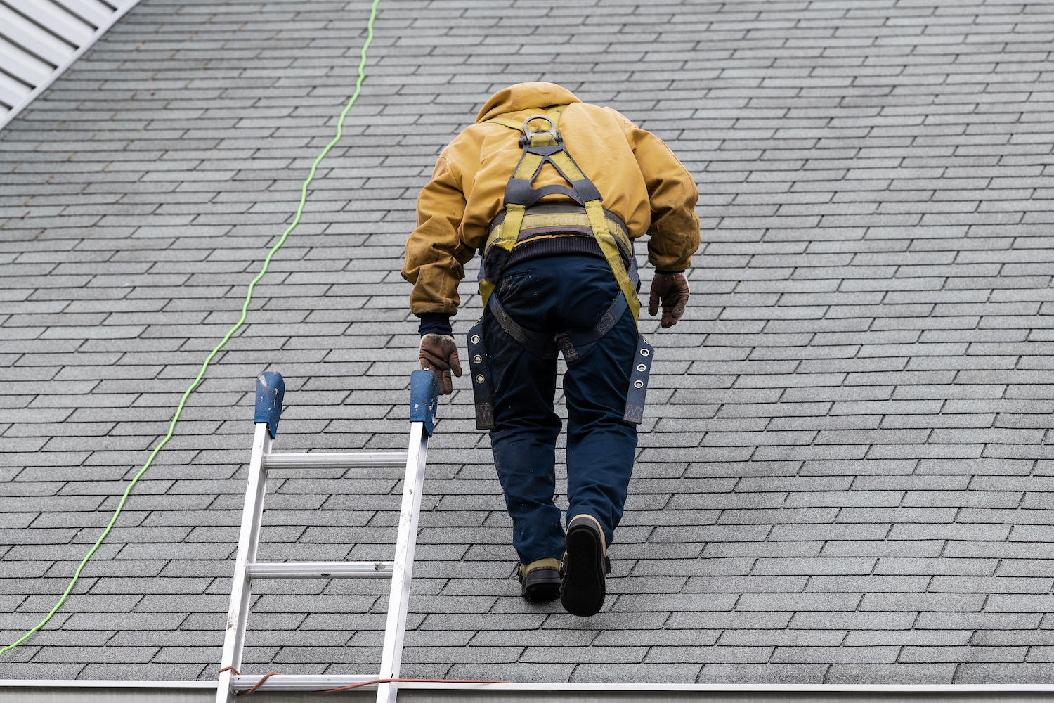 Roof Inspection 101: Everything You Need To Know